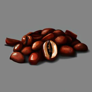 How to Make Robusta Coffee? (5 Tips For Brewing Perfect Cup) – Coffee ...